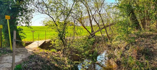 Il trekking del Rio Melo da Riccione a Montescudo ingressi e punti d ...